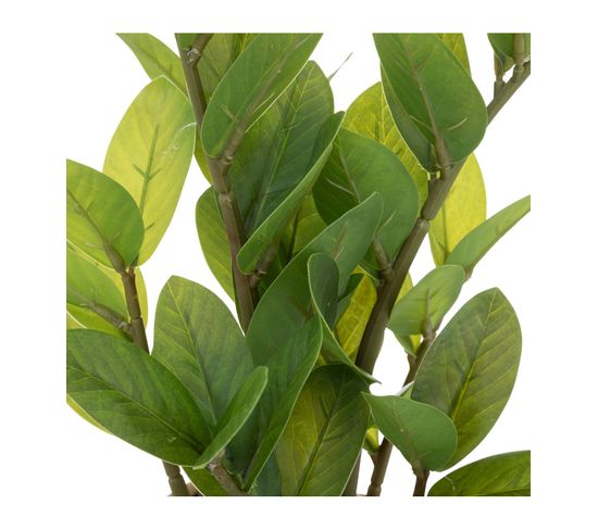 Plante Artificielle Zamio En Pot H 41 Cm - Plante artificielle et mini ...