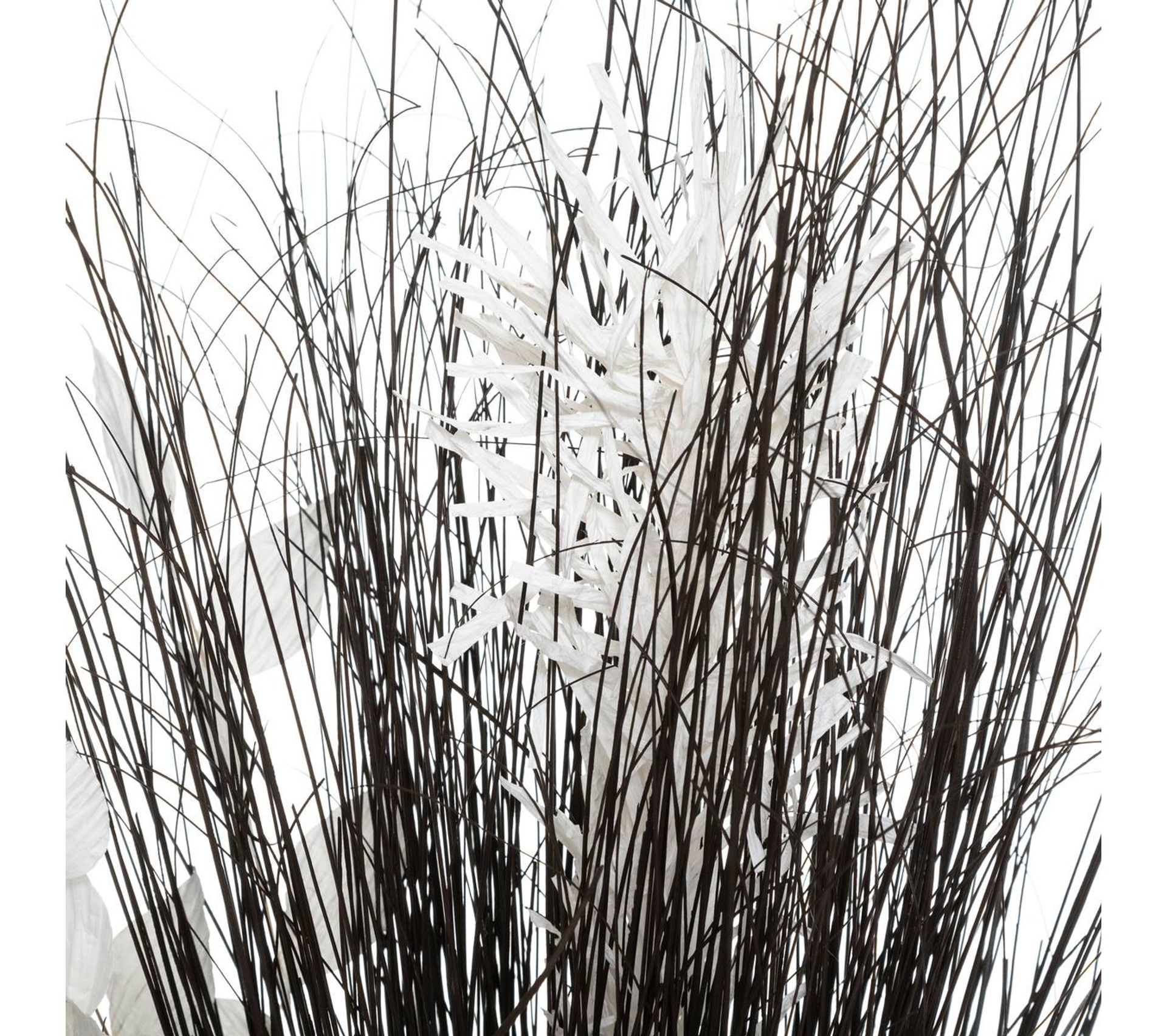 Fagot De Fleurs Et Tiges Séchées Blanc Et Noir D. 36 X H. 100 Cm - Plante artificielle et mini ...