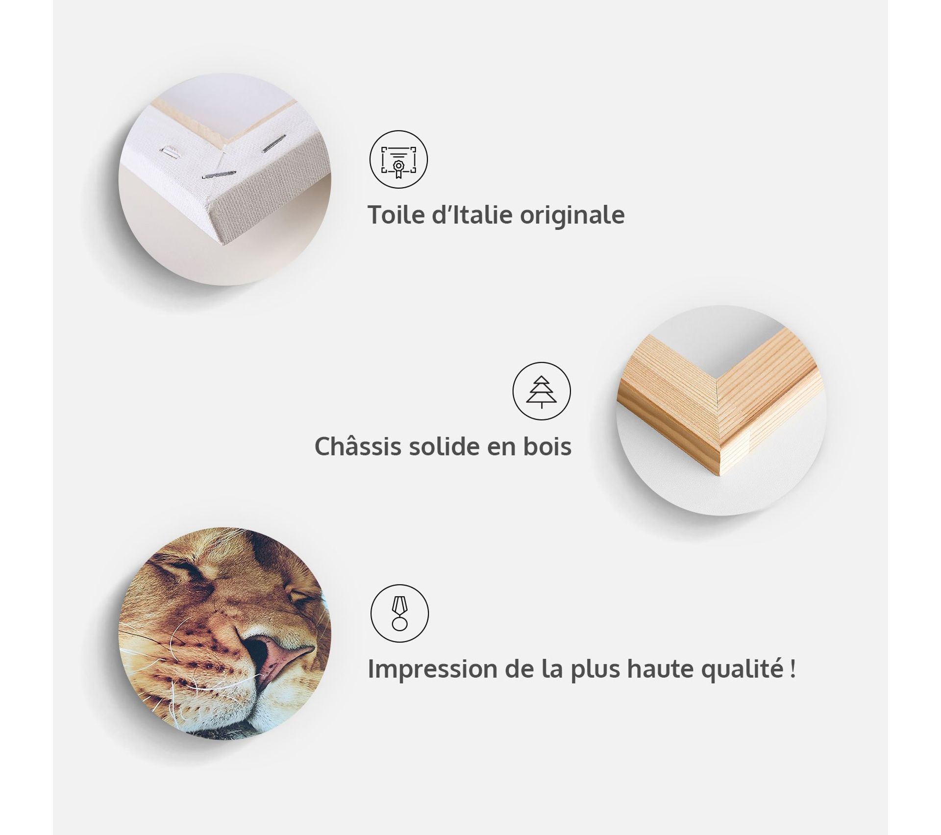 Tableau Nostalgia Vertical 60 X 90 Cm Beige - Tableau - Toile BUT