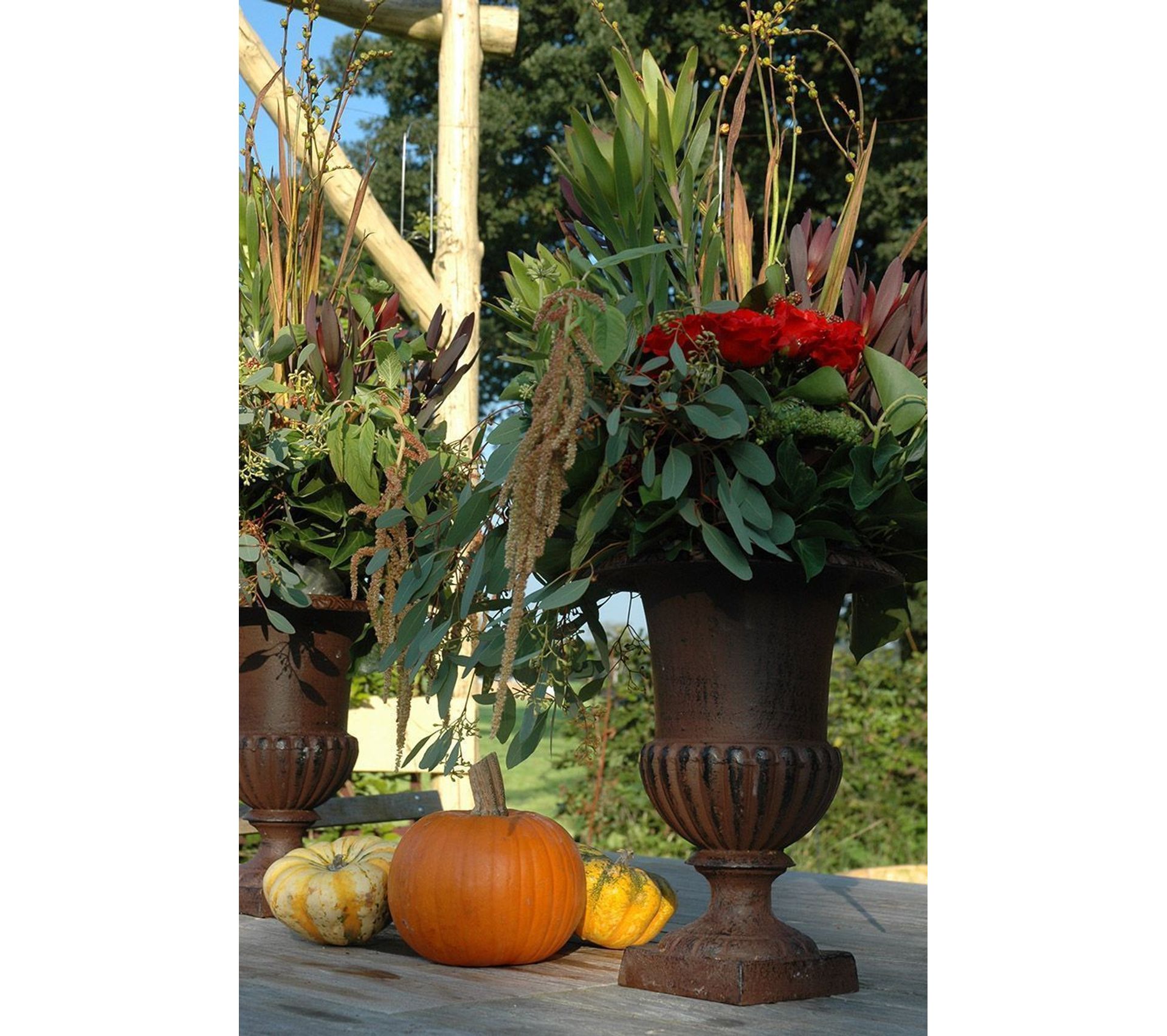 Vase Médicis En Fonte 35 Cm - Pot de fleurs - Bac - Jardinière BUT